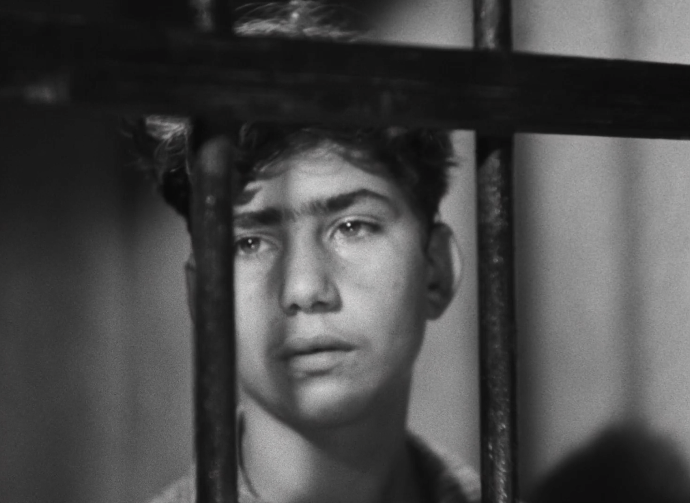 November 2023 / SHOESHINE